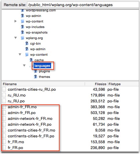WordPress 100 % En Français | WPLANG
